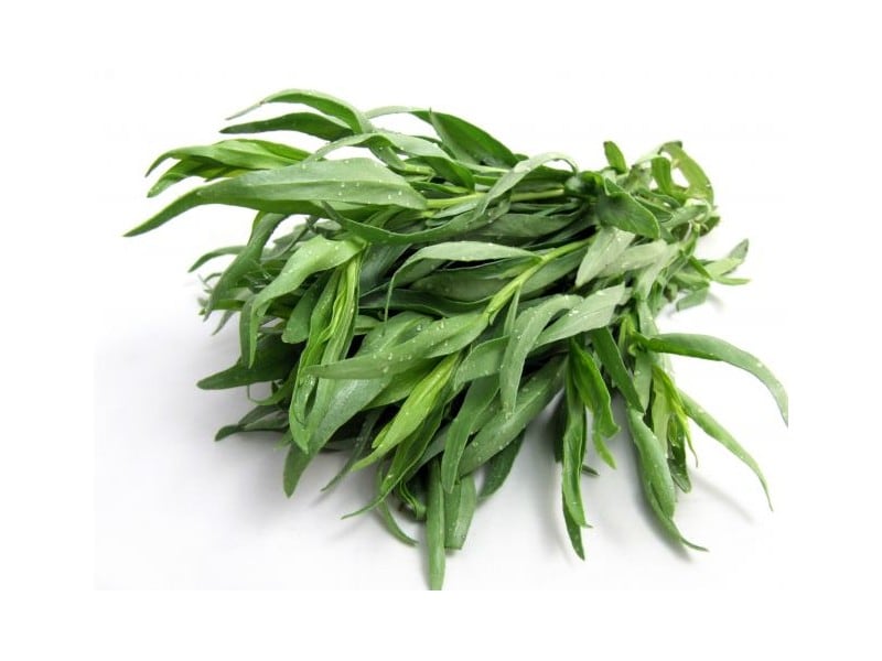 Estragão: O Tempero Versátil da Cozinha Gourmet | Blog das Flores