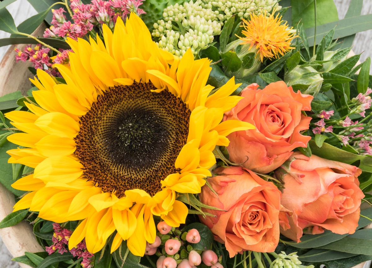 Significado das Flores - Entenda o Simbolismo Por Trás de Cada Pétala