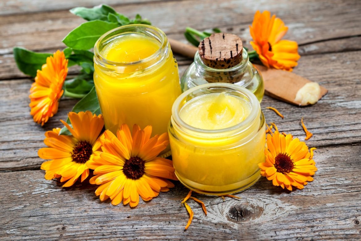 A Maravilhosa Calêndula: Uma Flor com Múltiplos Usos e Benefícios ...